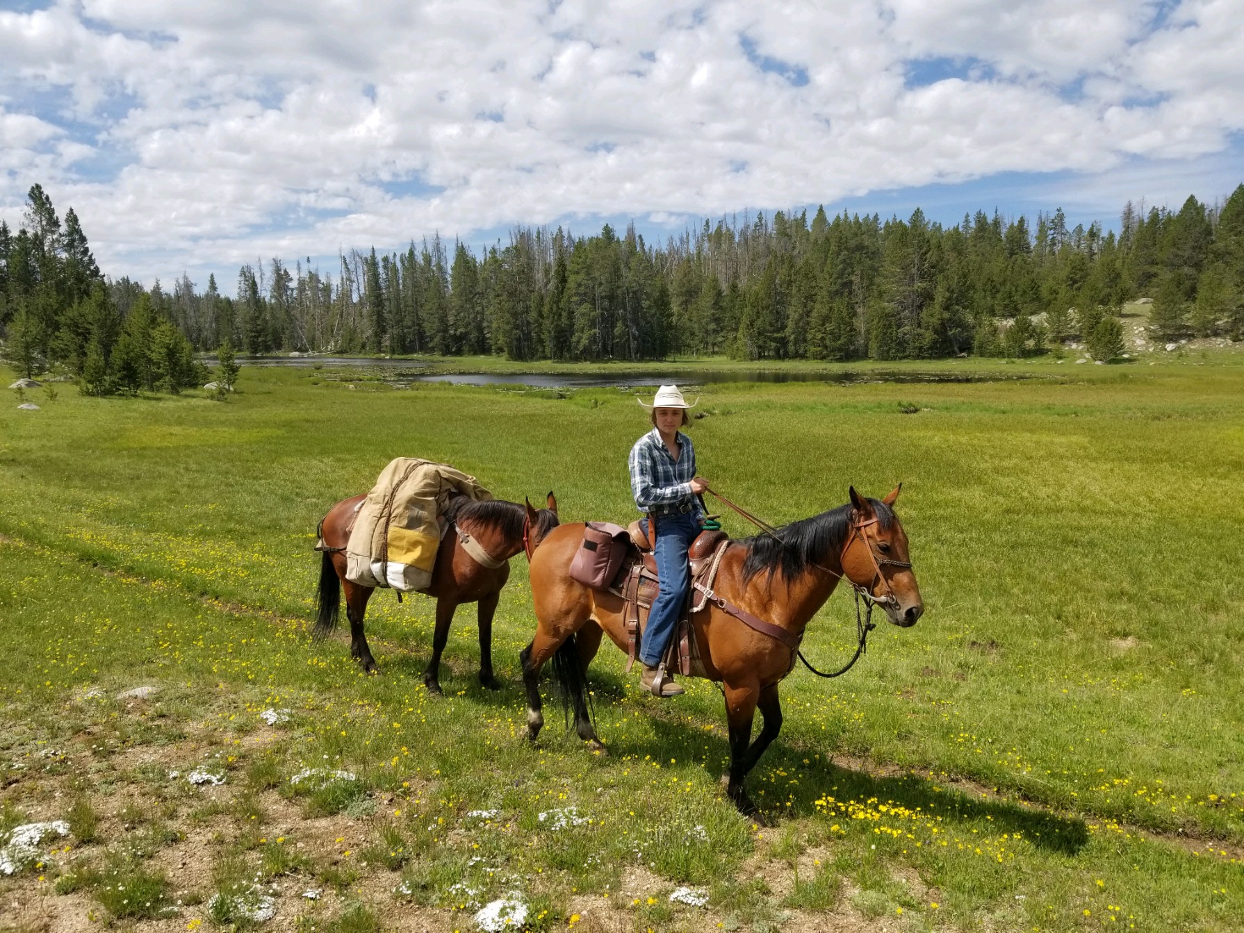 Big Sandy Lodge, Wyoming, Wind River Mountain Resort and Outfitting: Home